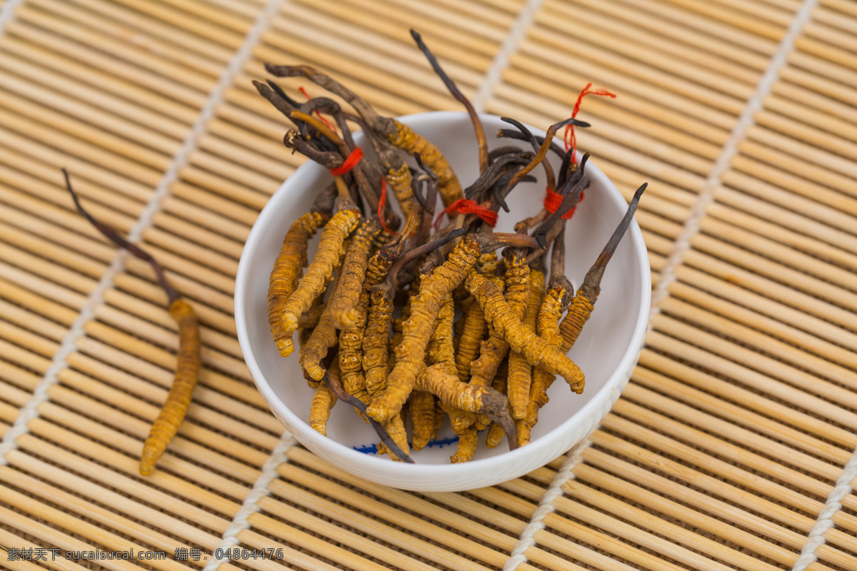 冬虫夏草素材图片下载-素材编号04864476-素材天下图库