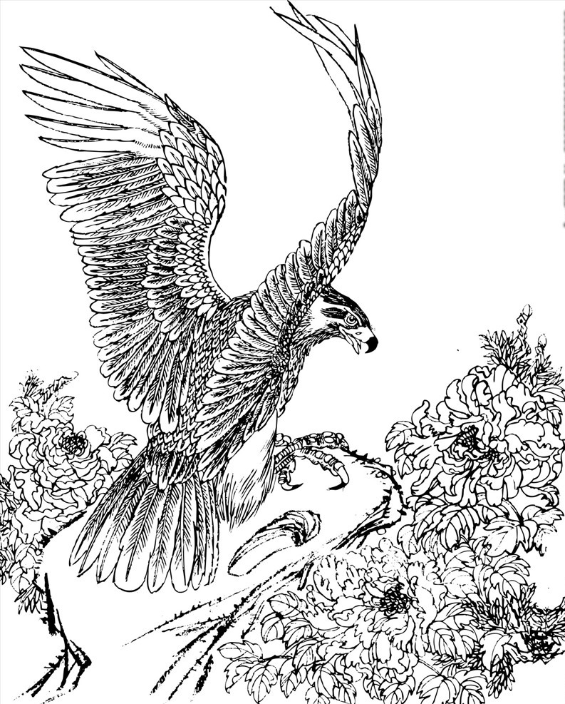 老鹰展翅矢量图下载素材图片下载-素材编号04796386-素材天下图库