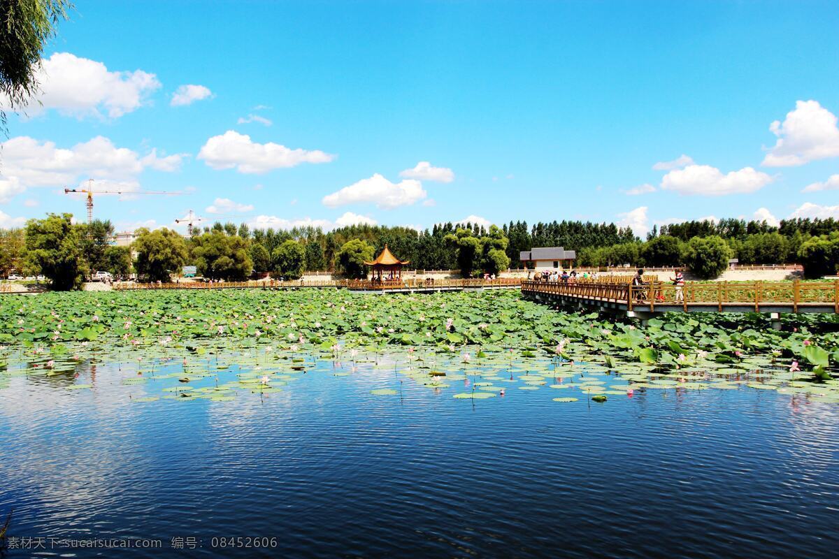 荷花池素材图片下载-素材编号08452606-素材天下图库